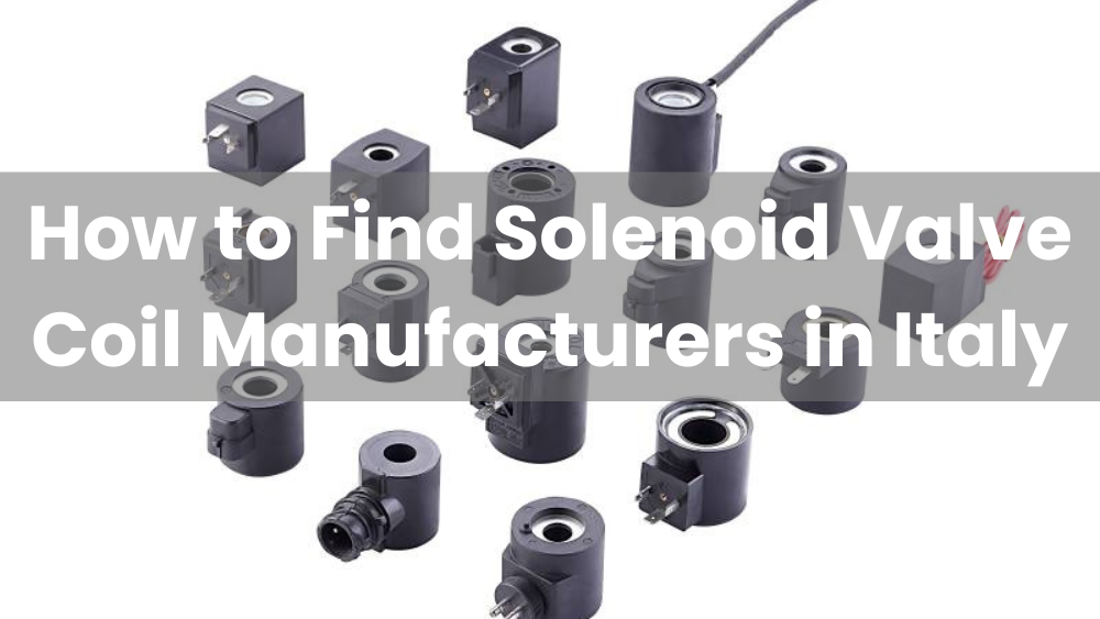 How to Find Solenoid Valve Coil Manufacturers in Italy - Beris